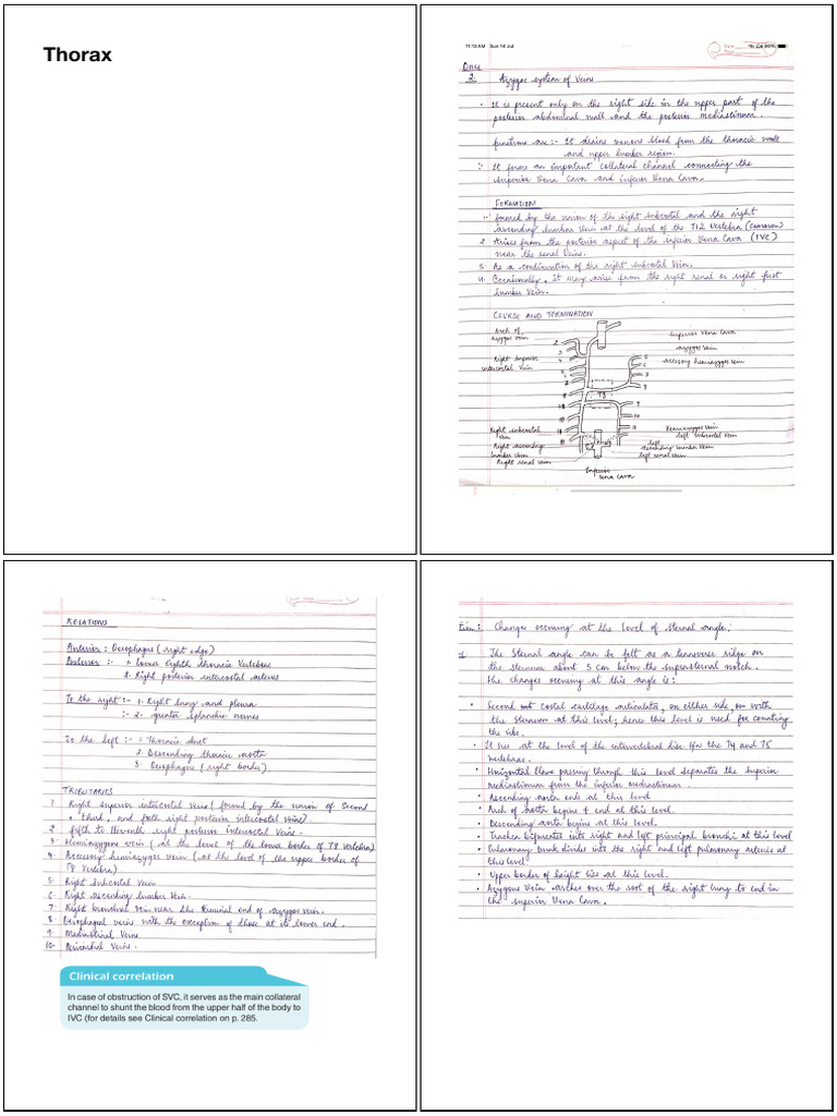 Thorax Chinmay | PDF
