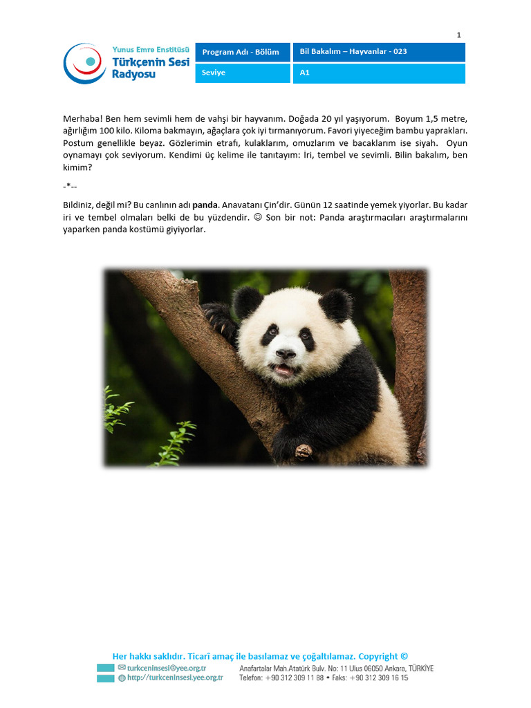 Bil Bakalim Hayvanlar 023 Panda | PDF