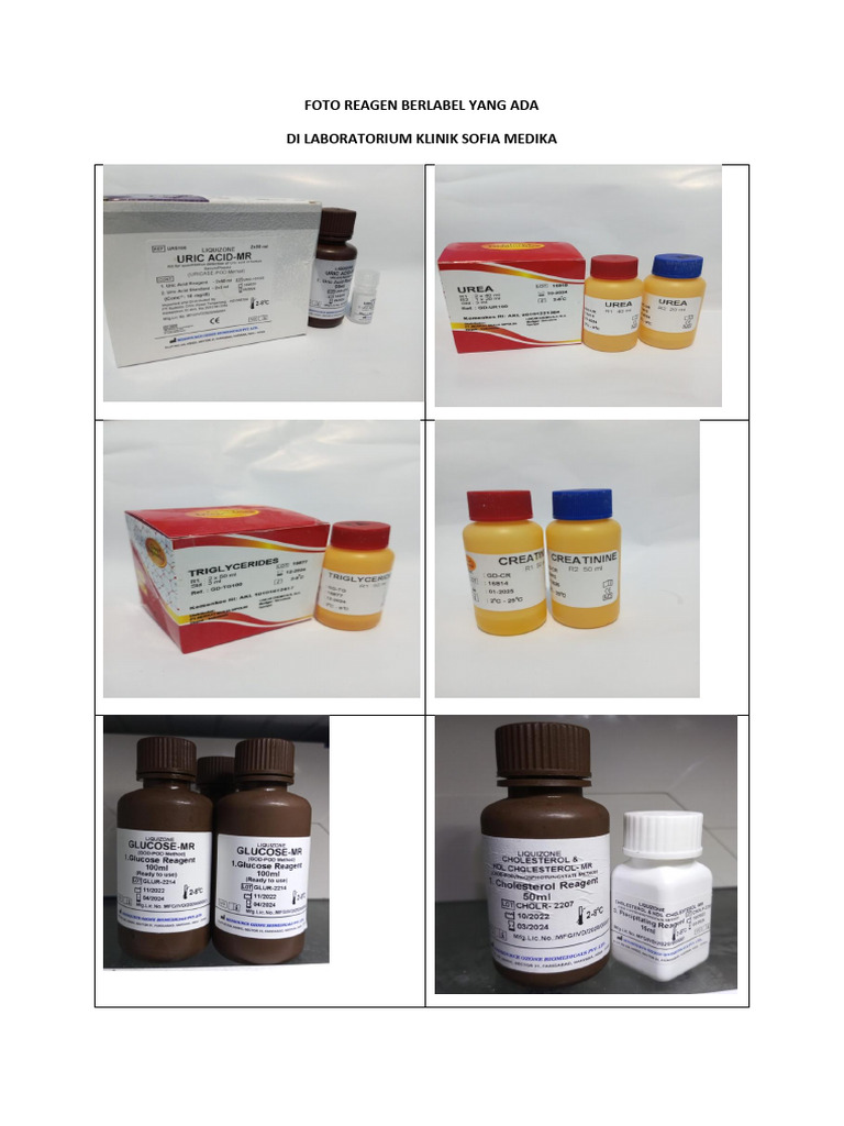 Foto Reagen Berlabel | PDF