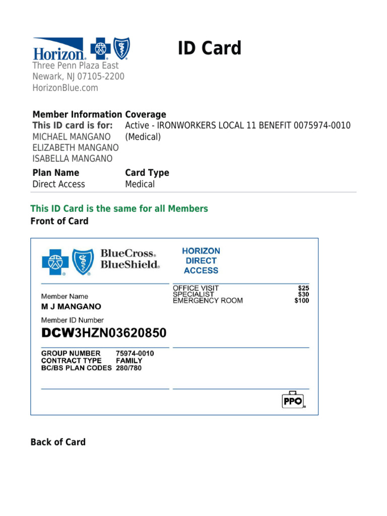 Idcard 20250301 | PDF