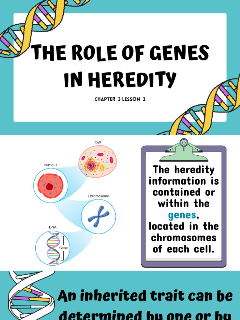 Genes and Their Role in Heredity | PDF