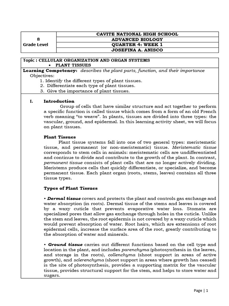 LAS G8 Q4 Anisco. Final Copy | PDF | Ventricle (Heart) | Heart Valve