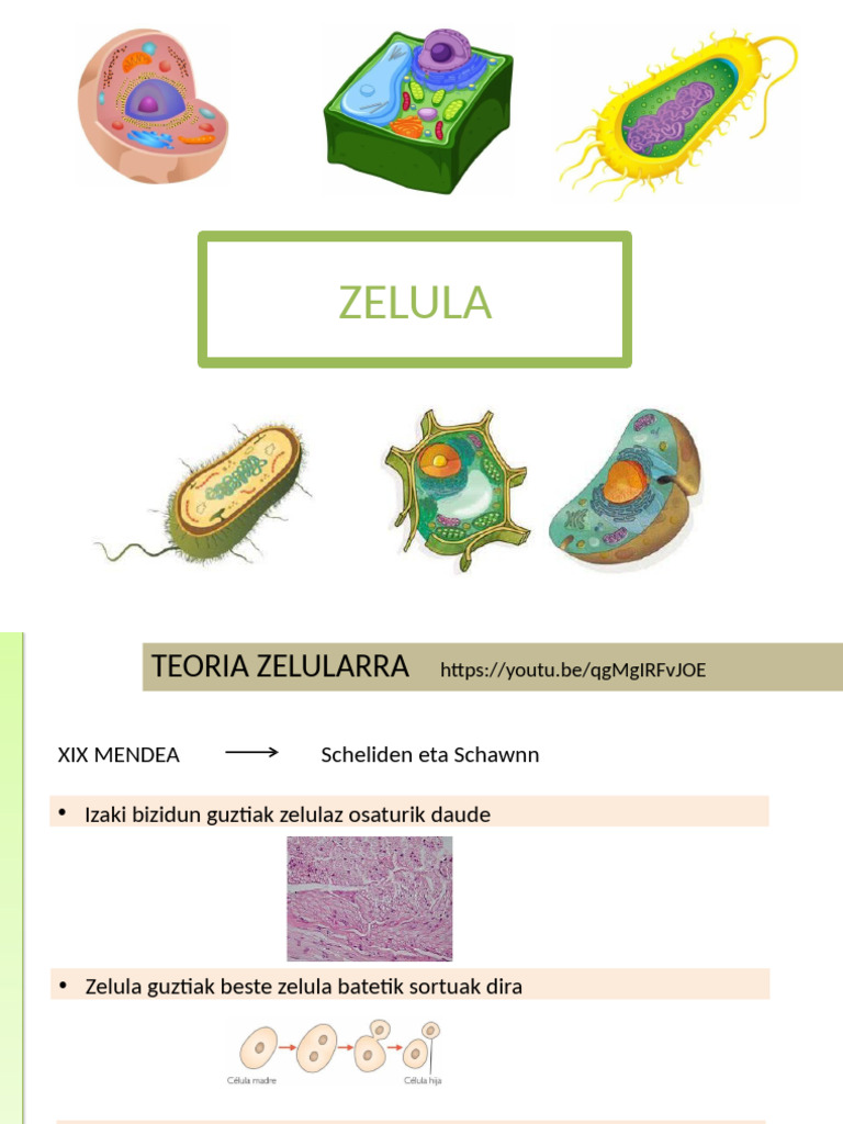Gaia. Zelula | PDF