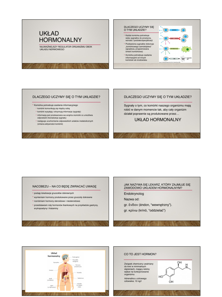 Układ Dokrewny PP Slajdy | PDF