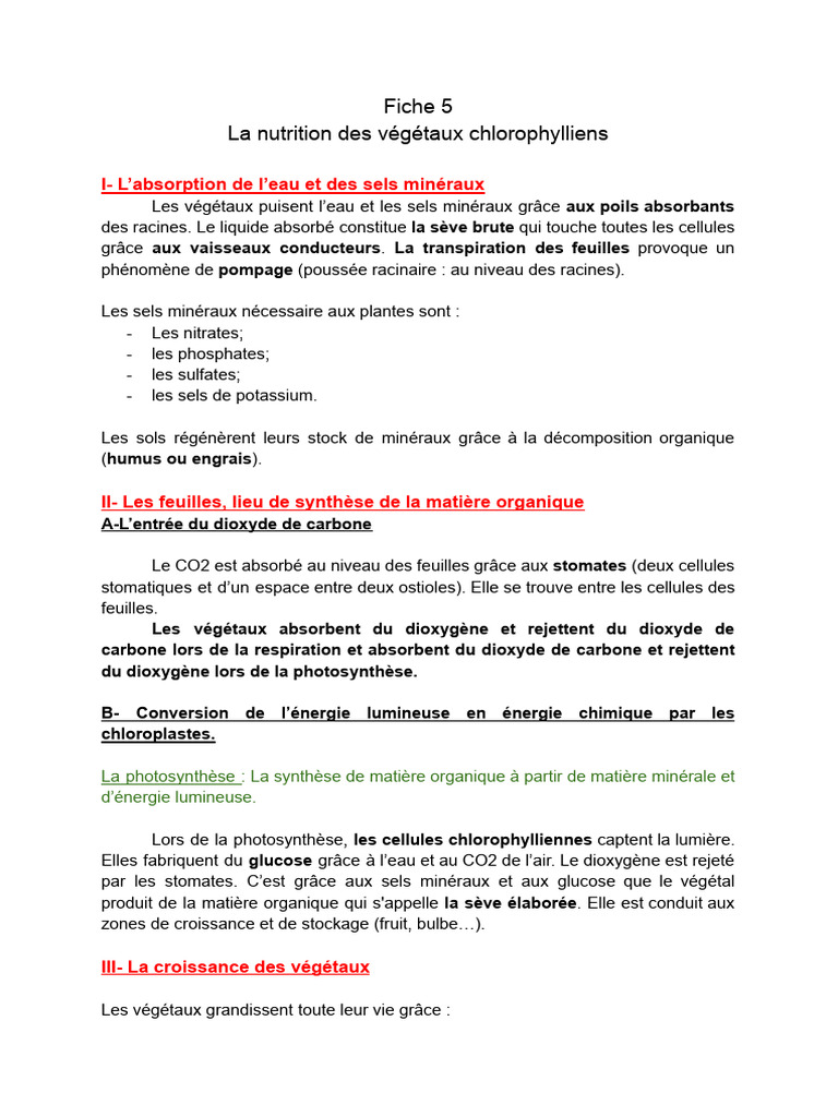 Nutrition des Végétaux Chlorophylliens | PDF