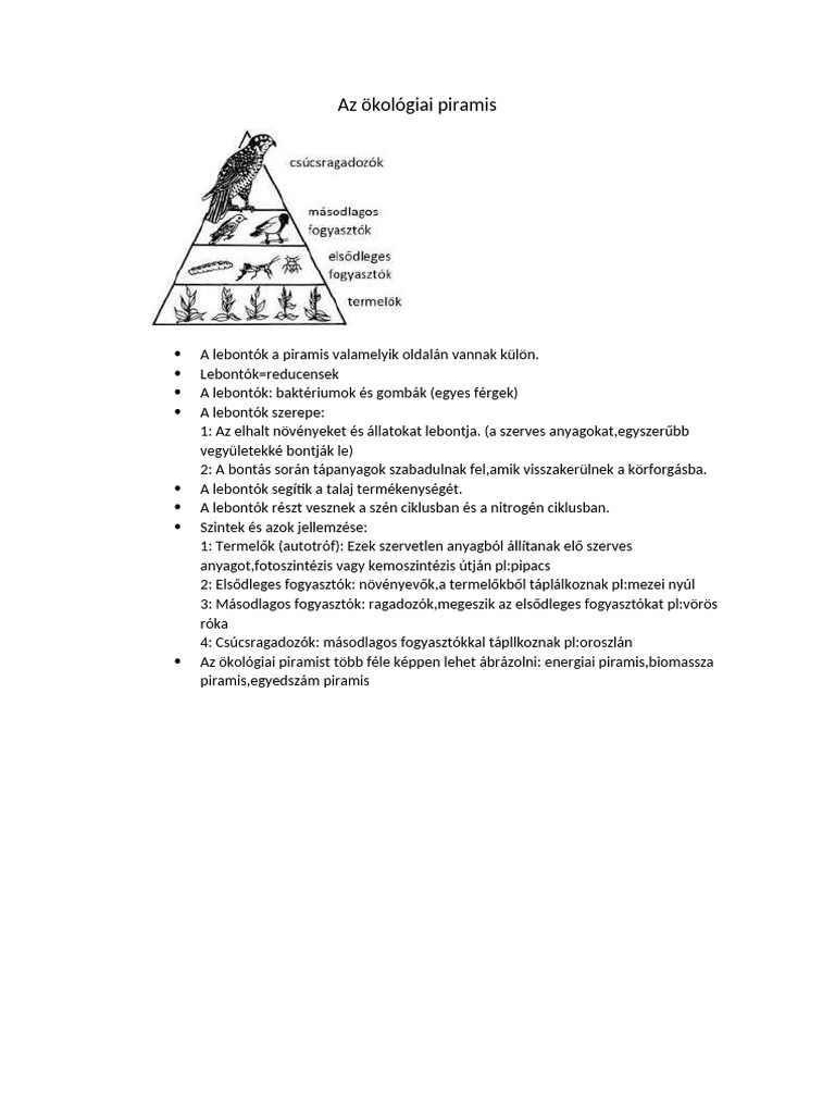 Az Ökológiai Piramis | PDF