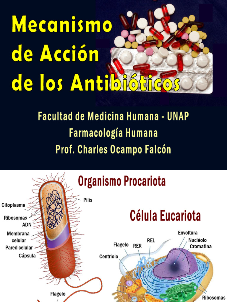 Mecanismo de Acción y Resistencia A Atb | PDF | Adn | Plásmido