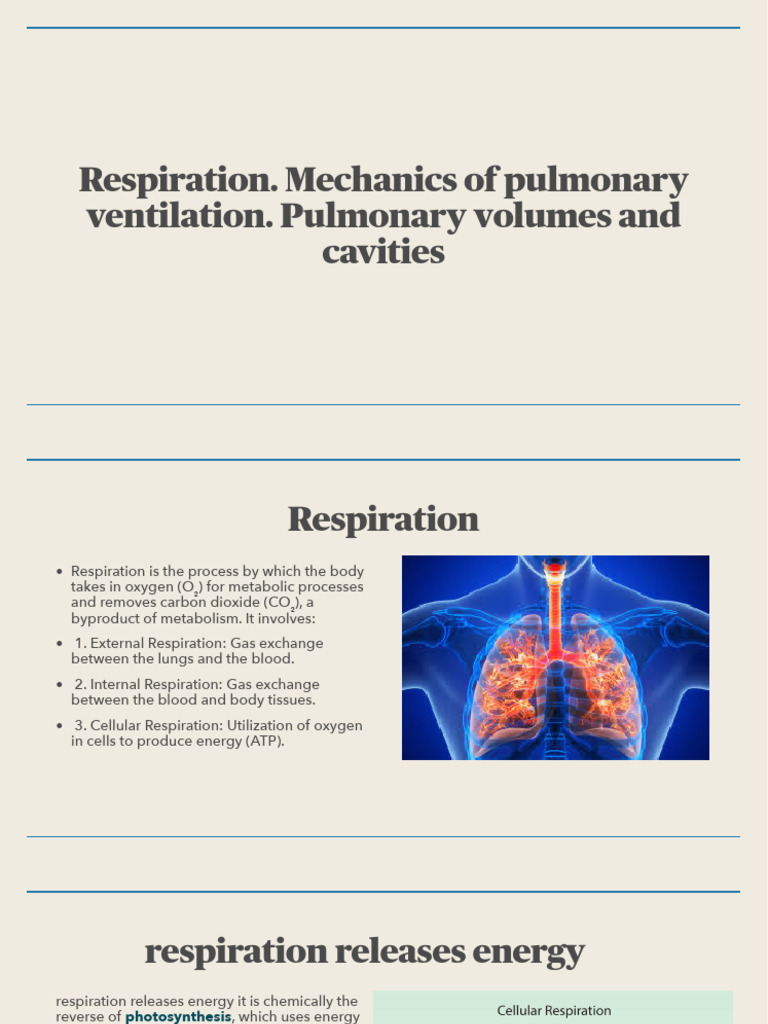 Mechanics of Pulmonary Ventilation | PDF | Respiratory System | Exhalation