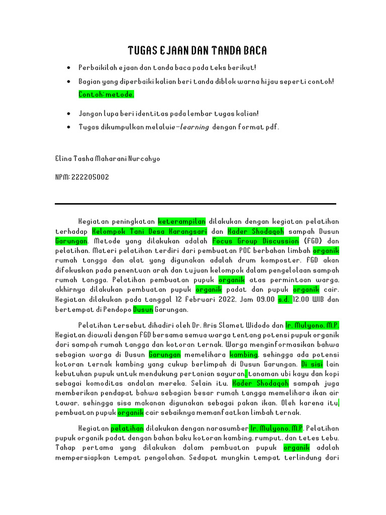 Elina T.M Nurcahyo - 222205002 - Tugas Ejaan Dan Tugas Tanda Baca | PDF
