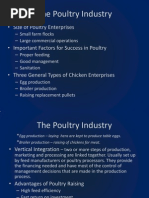 Poultry Production Lecture Notes | PDF | Poultry Farming | Chicken