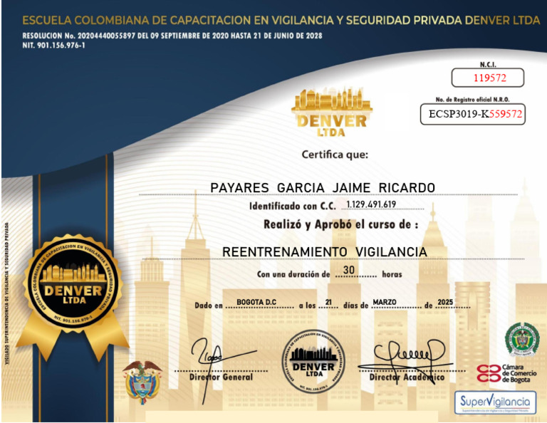 PAYARES | PDF