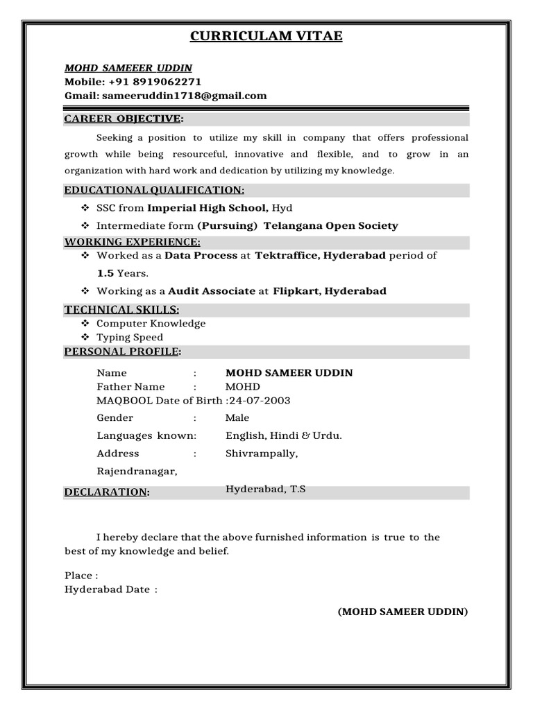 Sameer Resume | PDF