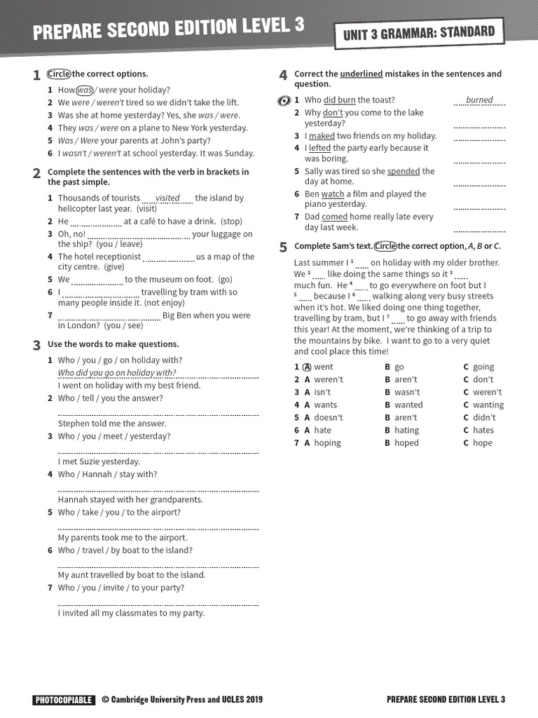 Level 3 Past Simple Grammar Exercises | PDF