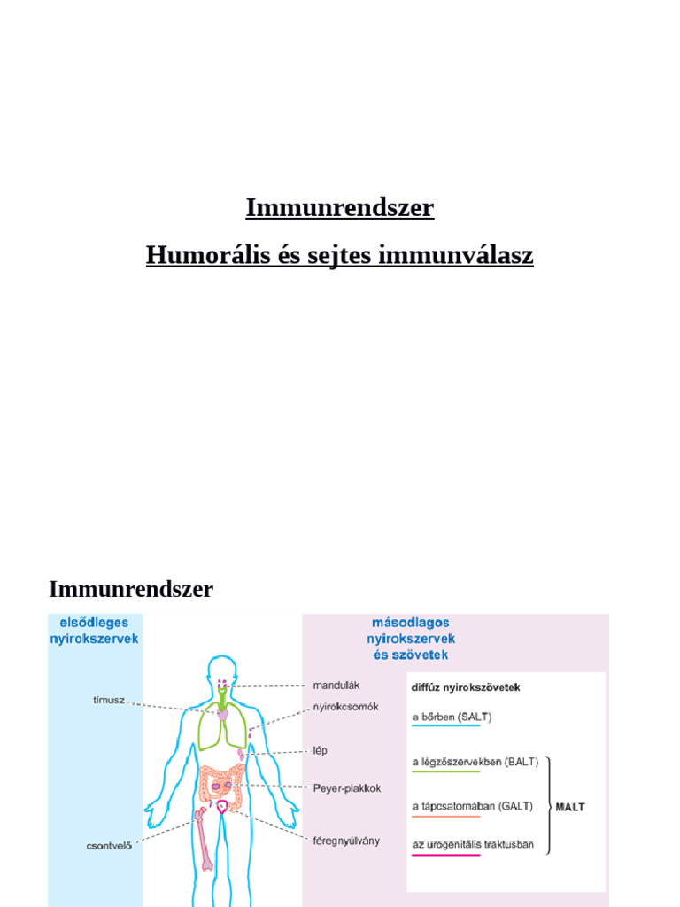 Immunrendszer | PDF