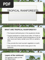 Layers of The Rainforest: Emergent | PDF