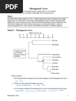 Phylogeny Practice AP Questions - KEY | PDF