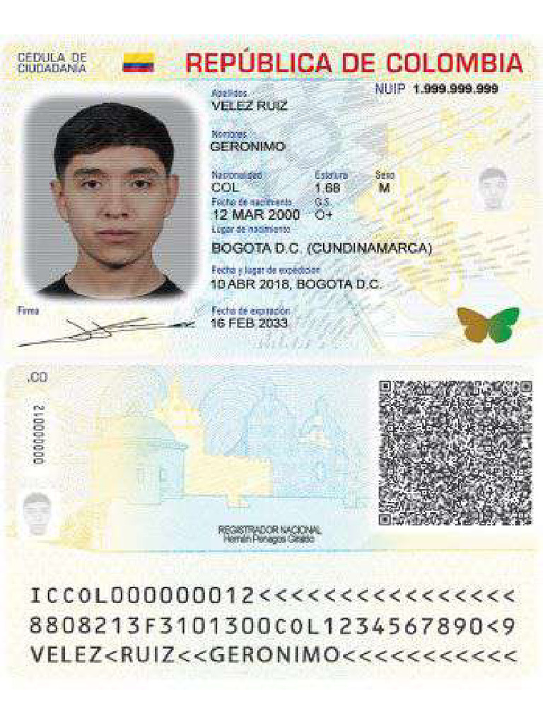 Cedula Normativa Lasink | PDF