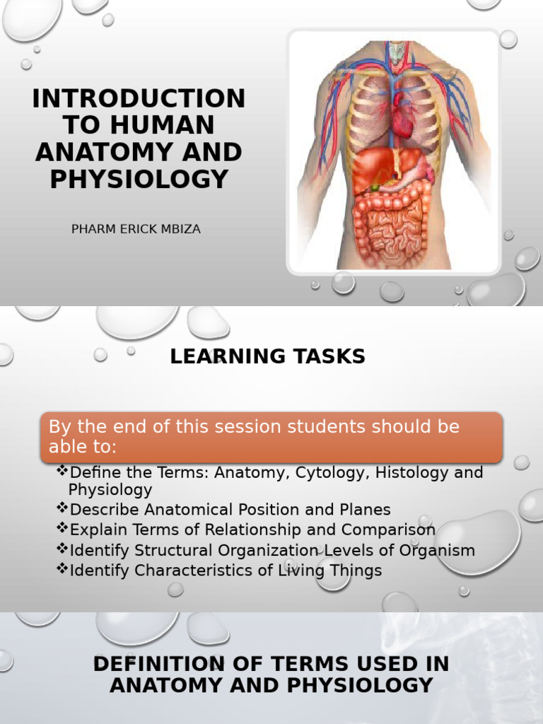 1.introduction To Human Anatomy and Physiology-1 | PDF | Anatomical ...