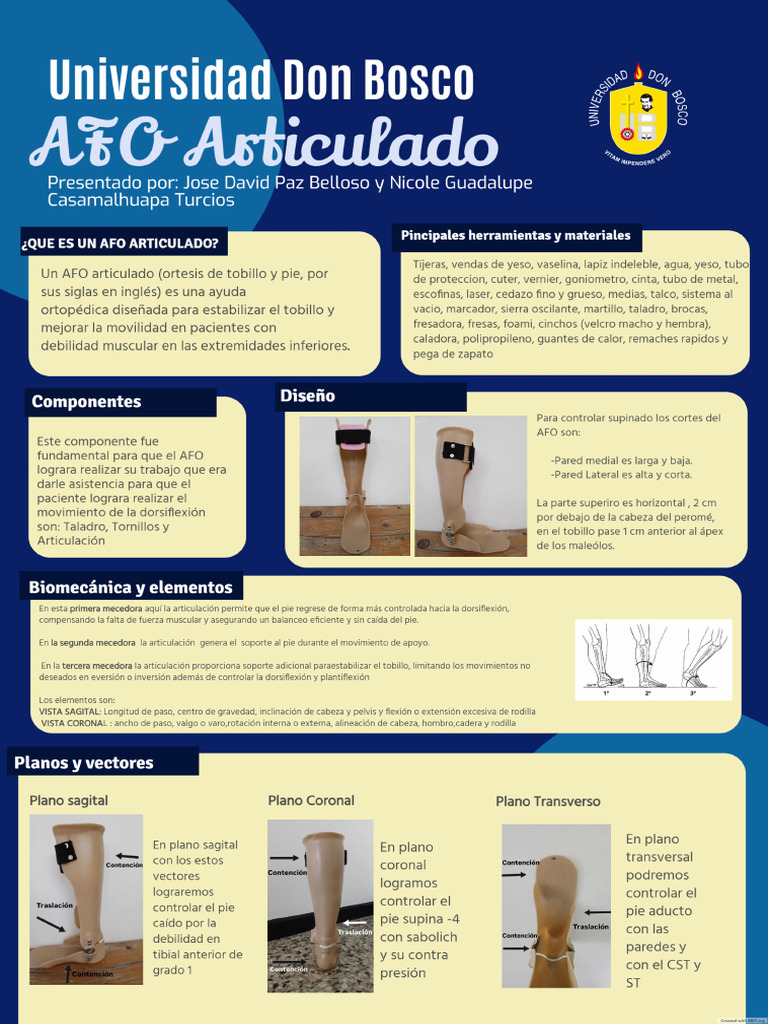 Póster ejemplo AFO articulado | PDF