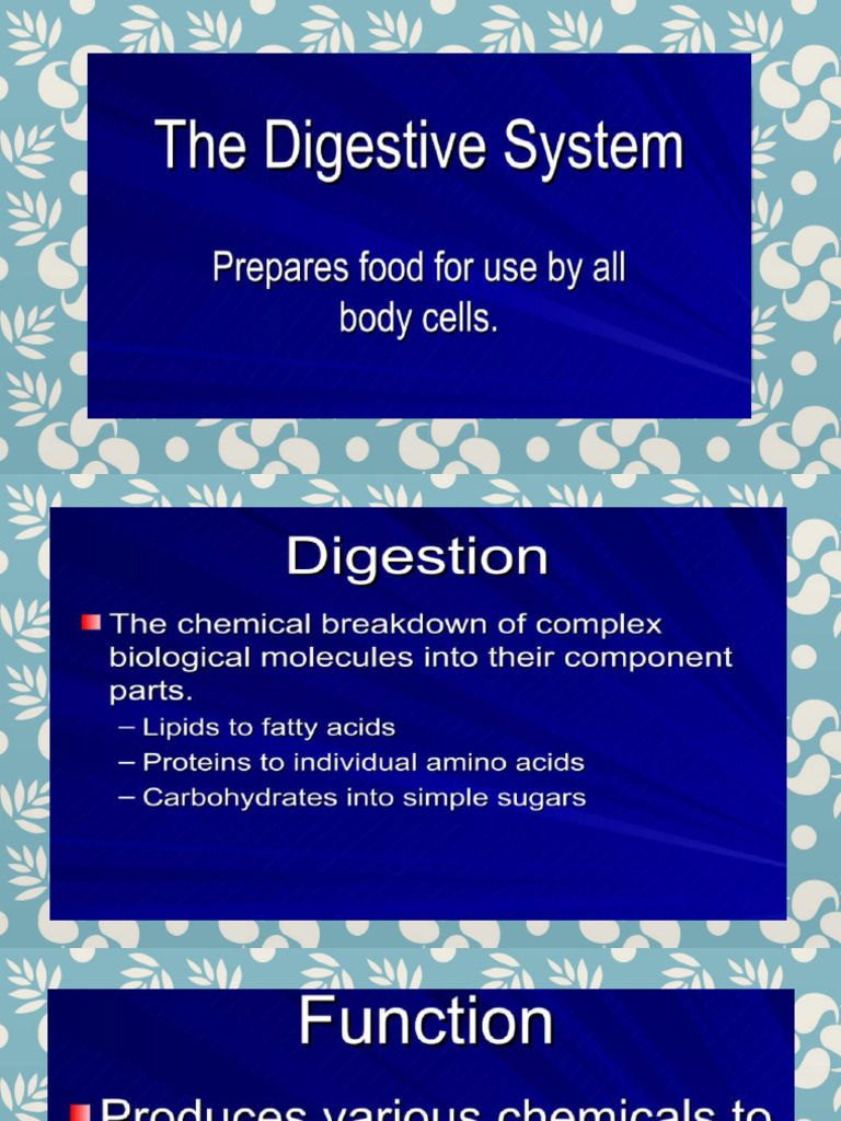 Digestive and Excretory Systems | PDF
