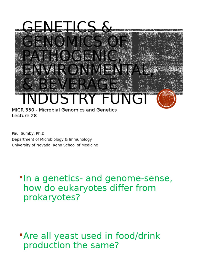 Pathogenic and Environmental Fungi - 2022 - WorkInProgress | PDF | Rna ...