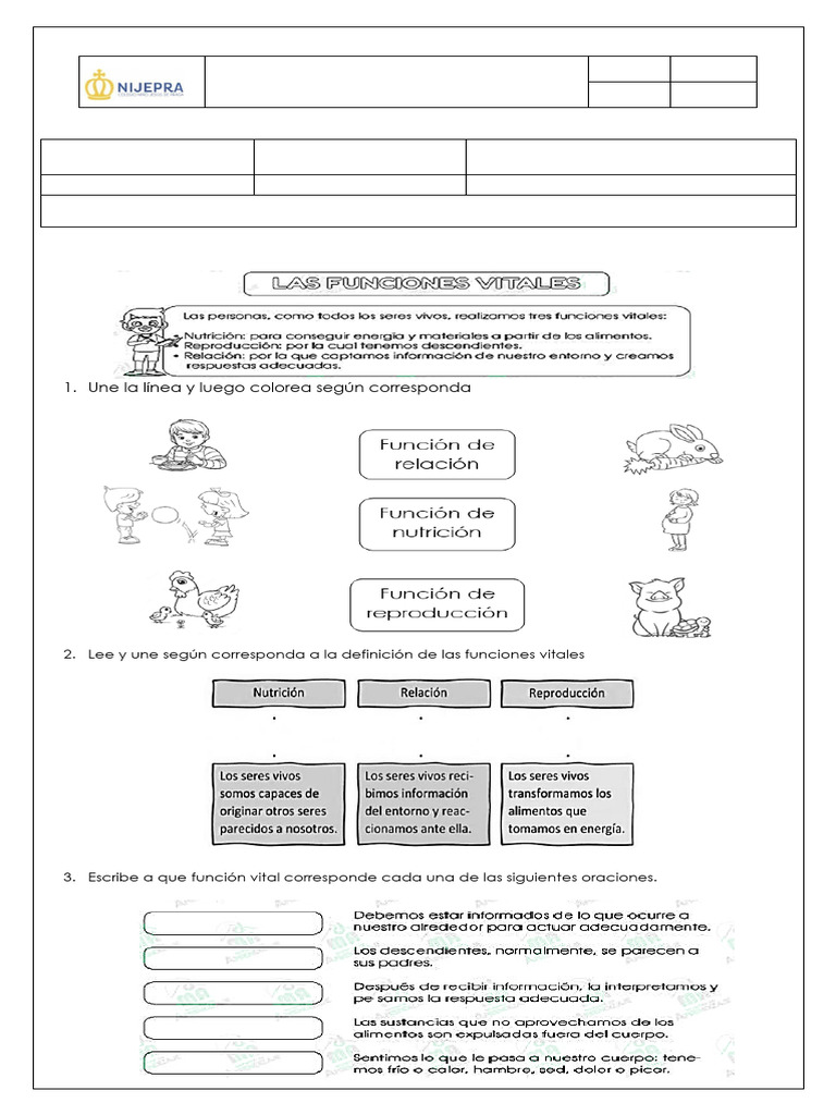 Funciones Vitales de los Seres Vivos | PDF