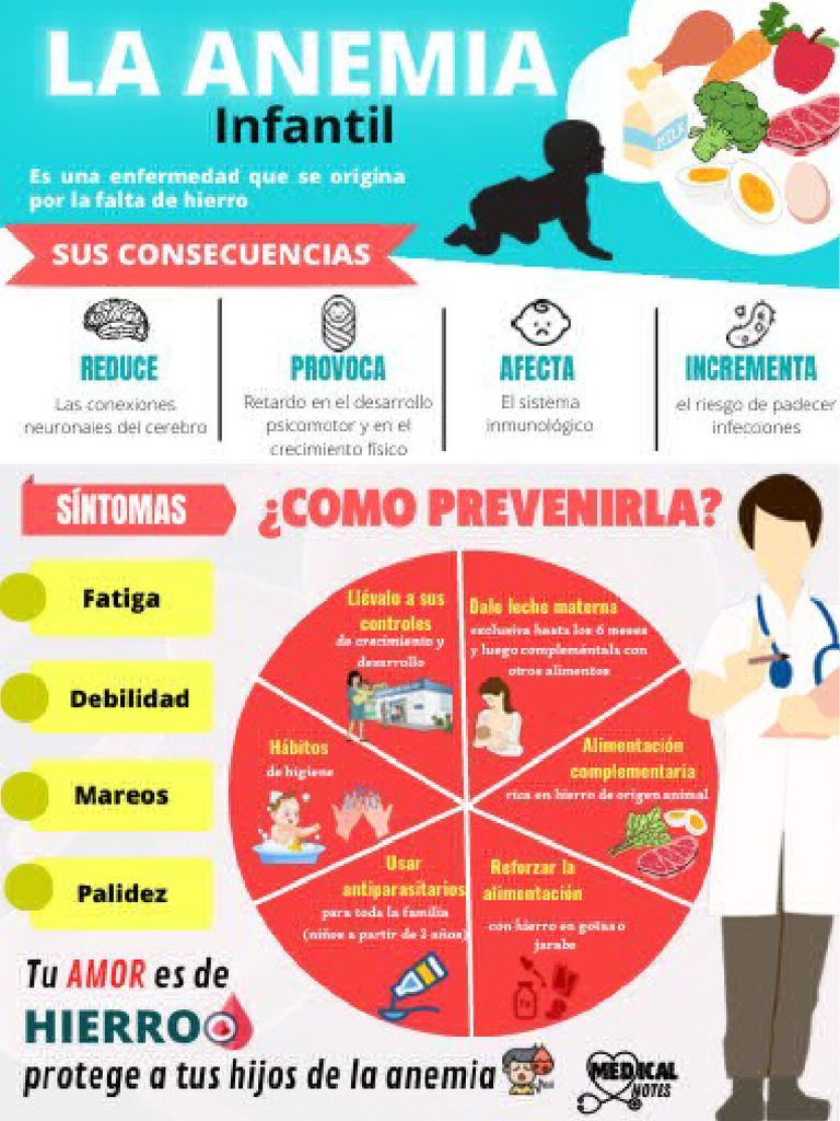 infografia de la anemia | PDF