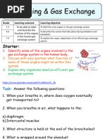 Structure and Function of The Gas Exchange System - Respiration and Gas ...