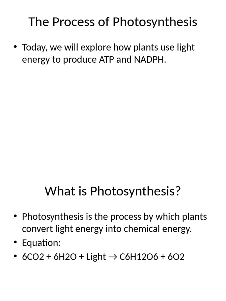 Photosynthesis Presentation | PDF