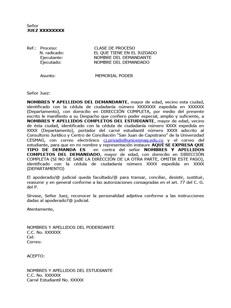 003 Memorial Poder de Juzgado | PDF