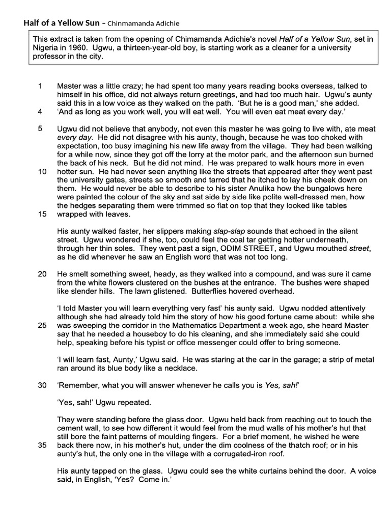 Half of A Yellow Sun | PDF