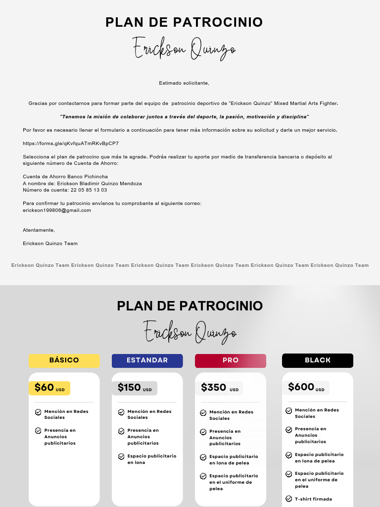 Planes de Patrocinio para Erickson Quinzo | PDF | Bancario
