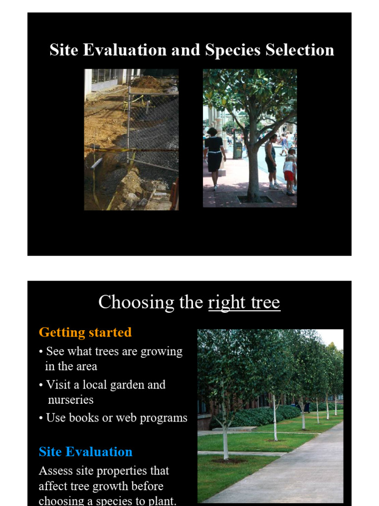 Unit 3 Site Evaluation Landscape | PDF | Soil | Trees