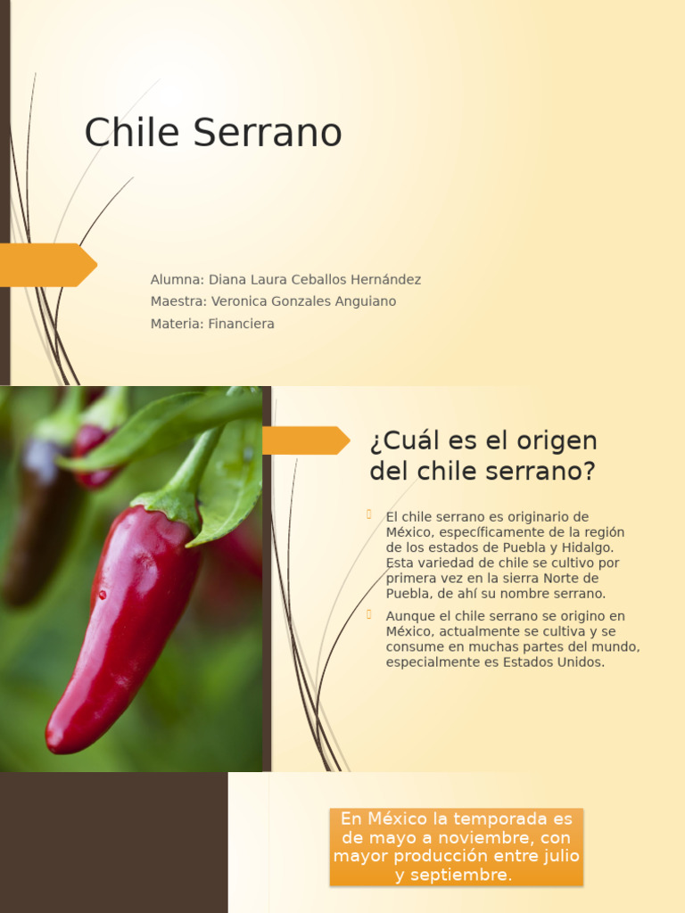 Origen y Cultivo del Chile Serrano | PDF | Ají picante | Cosecha