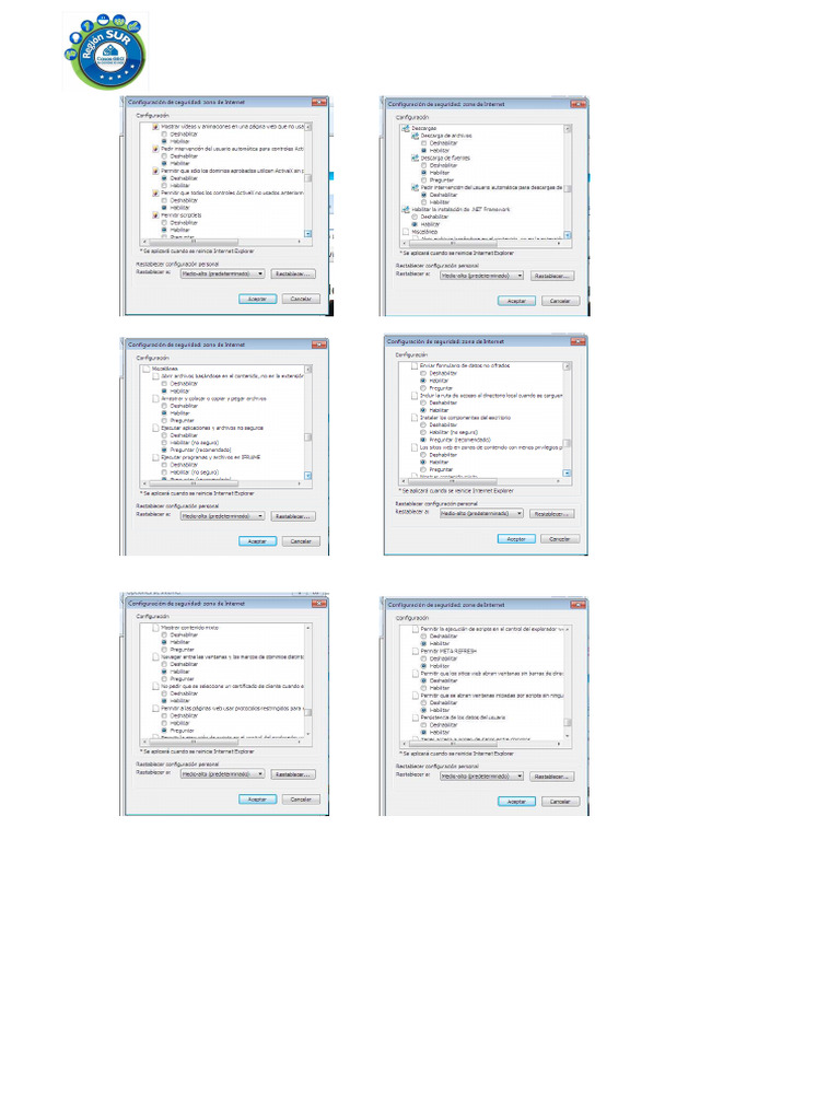 Configuración de Siebel en IE 8 | PDF