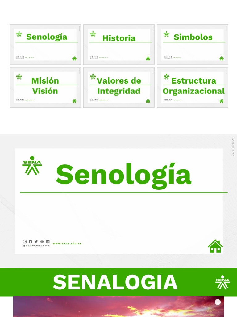 01 Presentacion Senalogia 2025 | PDF