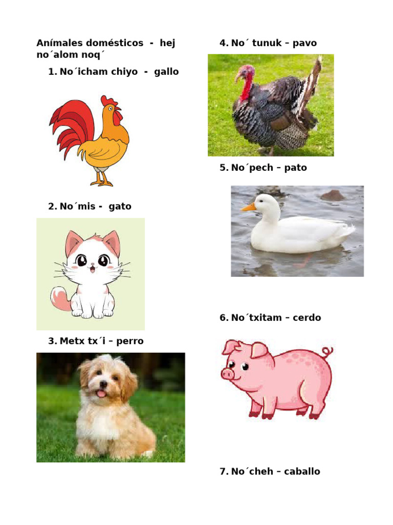 Nombres de animales domésticos en popti | PDF