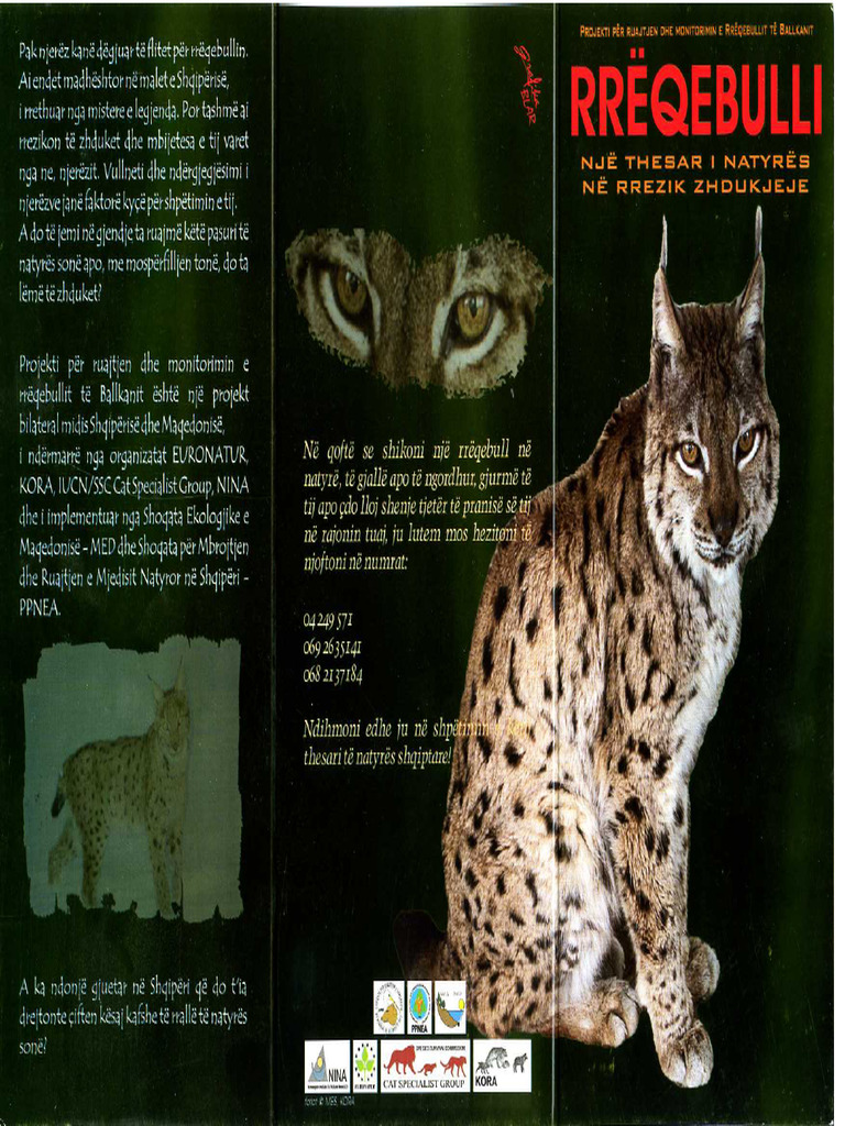 Leaflet Lynx AL | PDF
