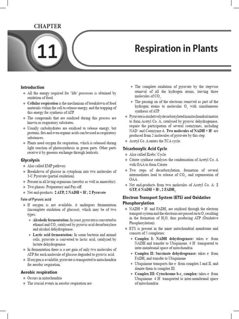 11 - Respiration in Plants (Theory) | PDF | Cellular Respiration ...