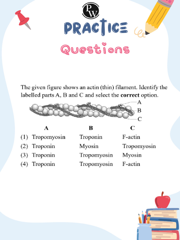Neet Practice Question | PDF