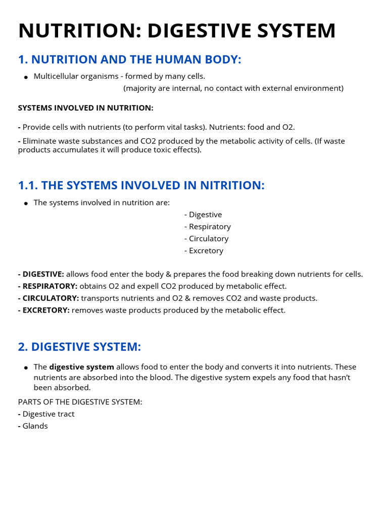 Nutrition Digestive System PDF | PDF | Stomach | Digestion