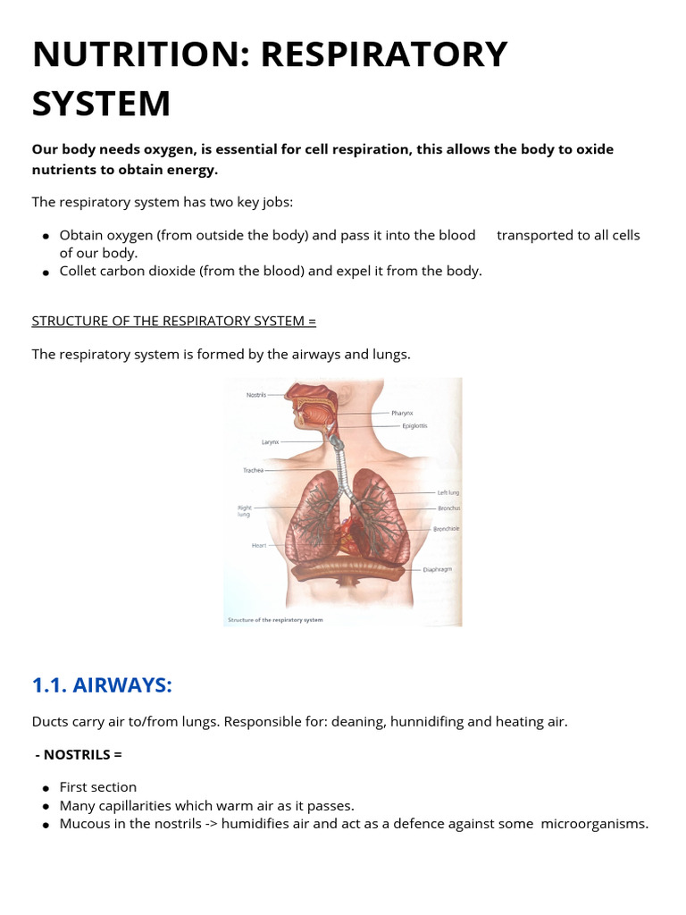 Nutrition Respiratory System PDF | PDF | Respiratory Tract | Lung