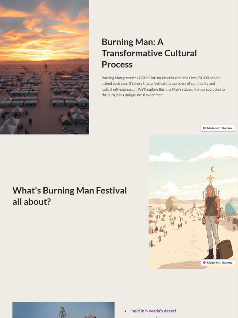 Burning Man A Transformative Cultural Process | PDF