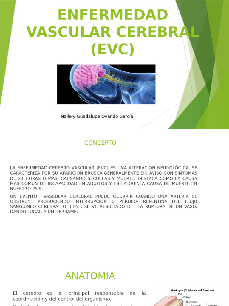 Expo Evc | PDF | Carrera | Especialidades Medicas