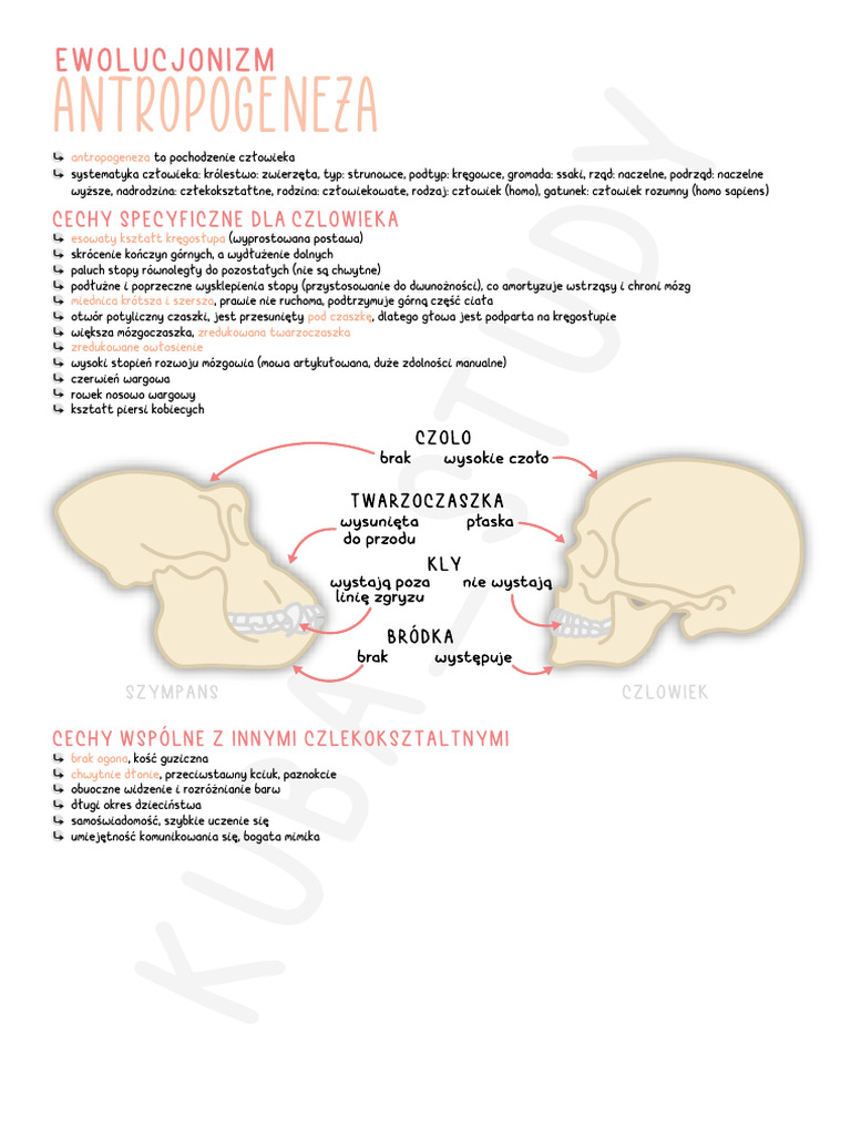 06 Antropogeneza 3 | PDF