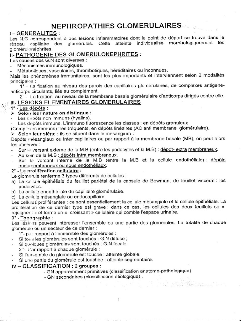 Uro-Nephro5an Anapath 2016 Nephropathies-Glomerulaires | PDF