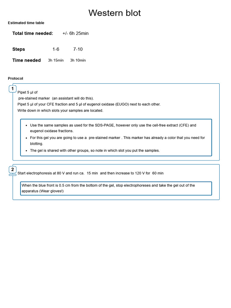 Western Blot | PDF