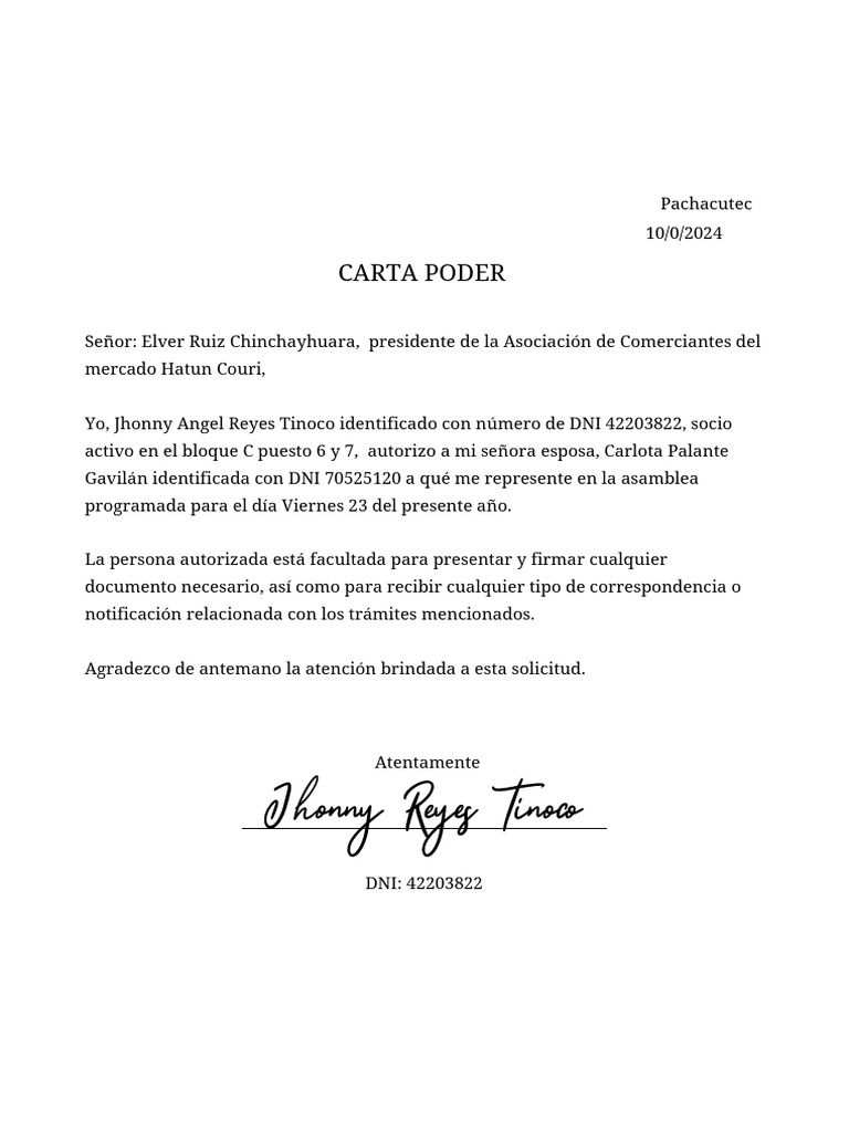Documento A4 Carta Poder Formal Blanco y Gris_20240821_152258_0000 | PDF