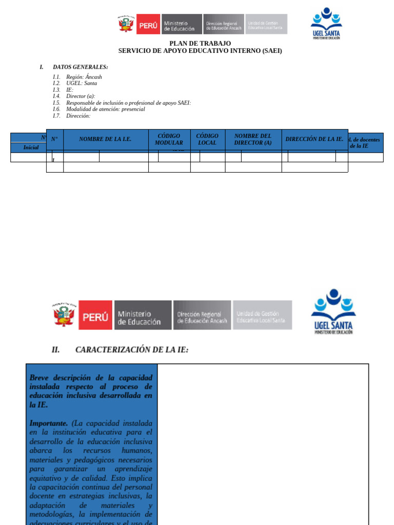Modelo Del Plan Del Saei - 2025 Eliseo | PDF | Enseñando | Plan de estudios
