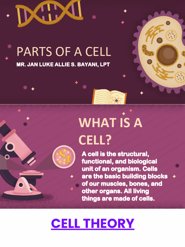WEEK 2 - PARTS OF A CELL | PDF | Cell (Biology) | Endoplasmic Reticulum